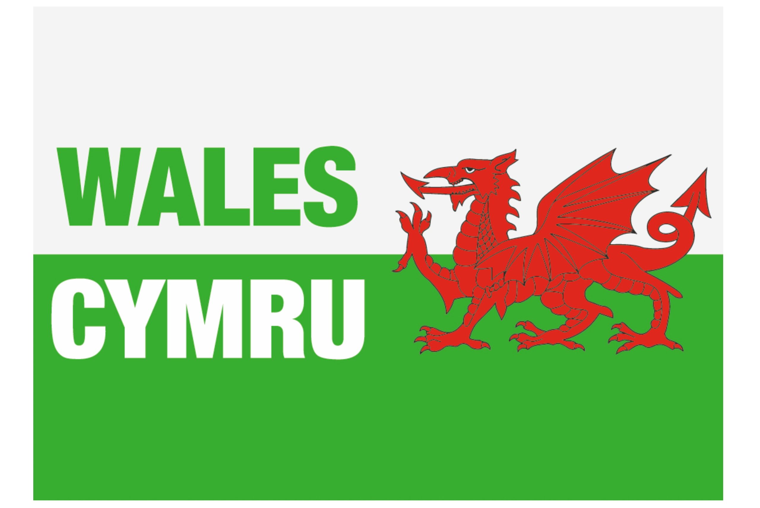 WALES FLAG TIN MAGNET - The Gift Wholesaler