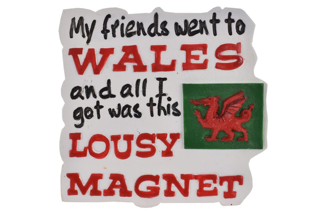 WALES RESIN MAGNET LOUSY DESIGN - The Gift Wholesaler